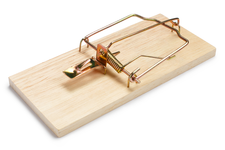 5 Proven Ways to Get Rid of Rats in Your Yard |SWAT Wildlife