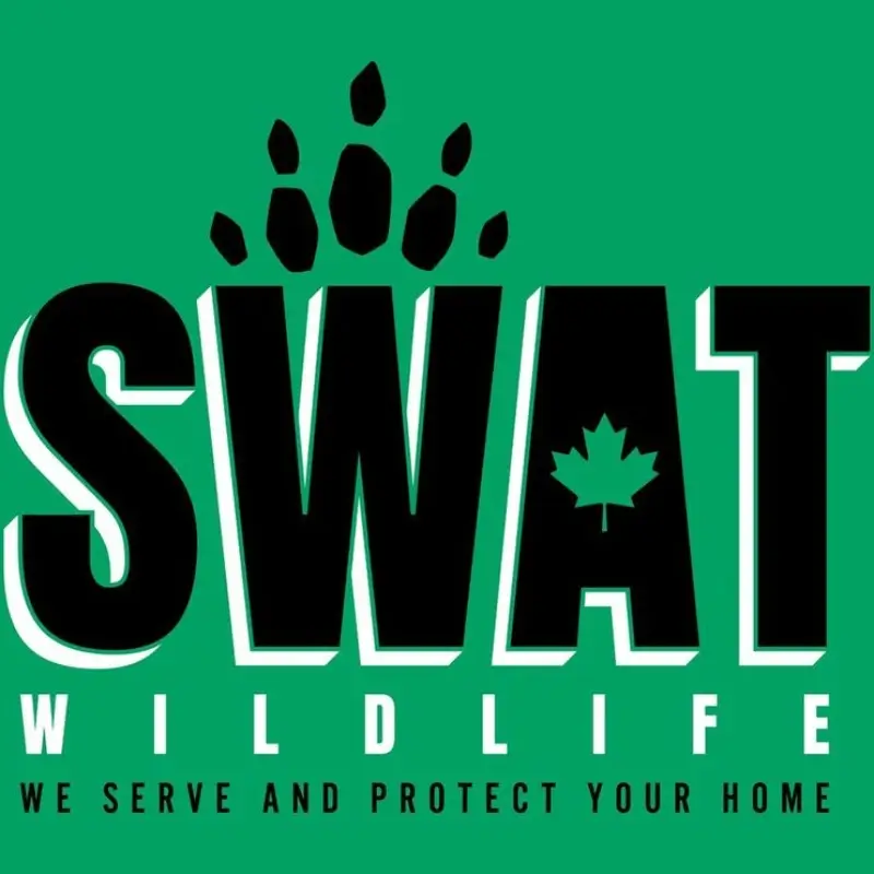 What services do animal control provide?