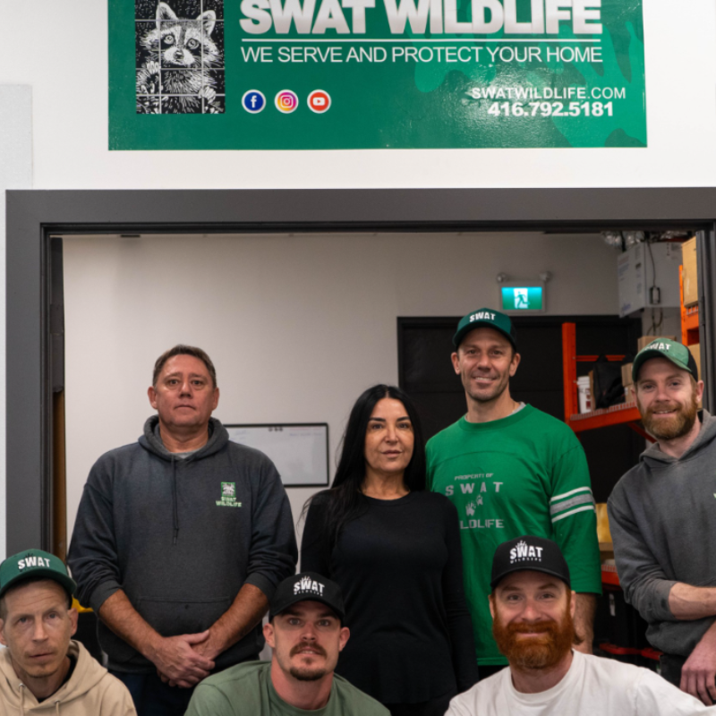 What services do animal control provide?