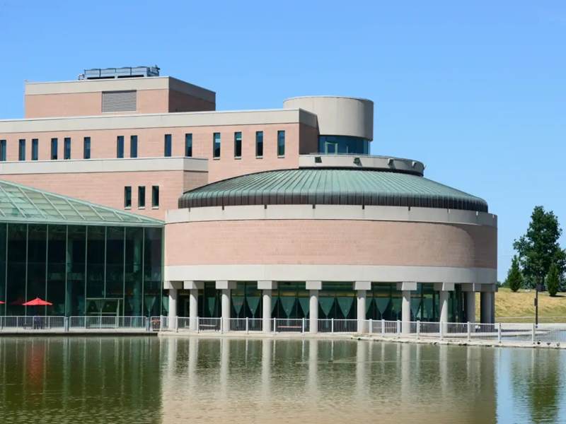 Markham Animal Removal - SWAT Wildlife