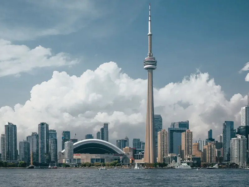 What services do animal control provide?